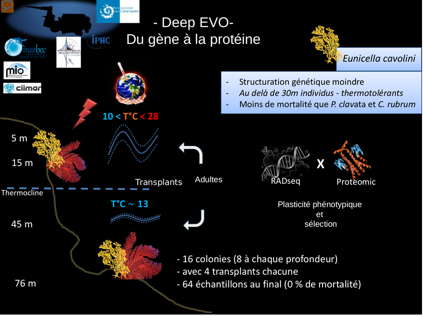 DEEP-EVO - UMR Marbec